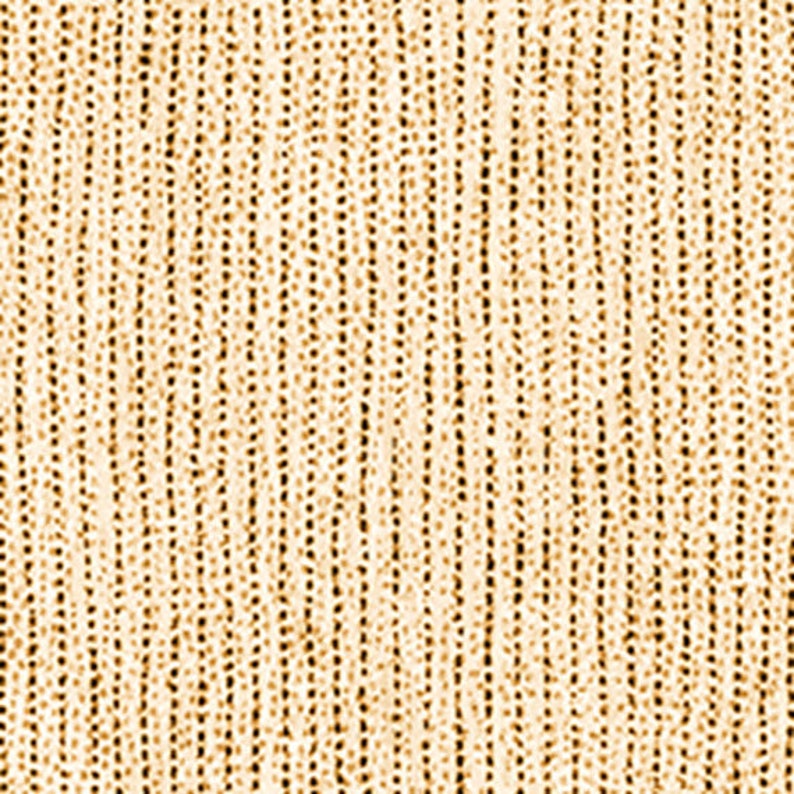 Queen of We'en - Appliqueen Line Texture in Light Peach - Ween Stripe ...