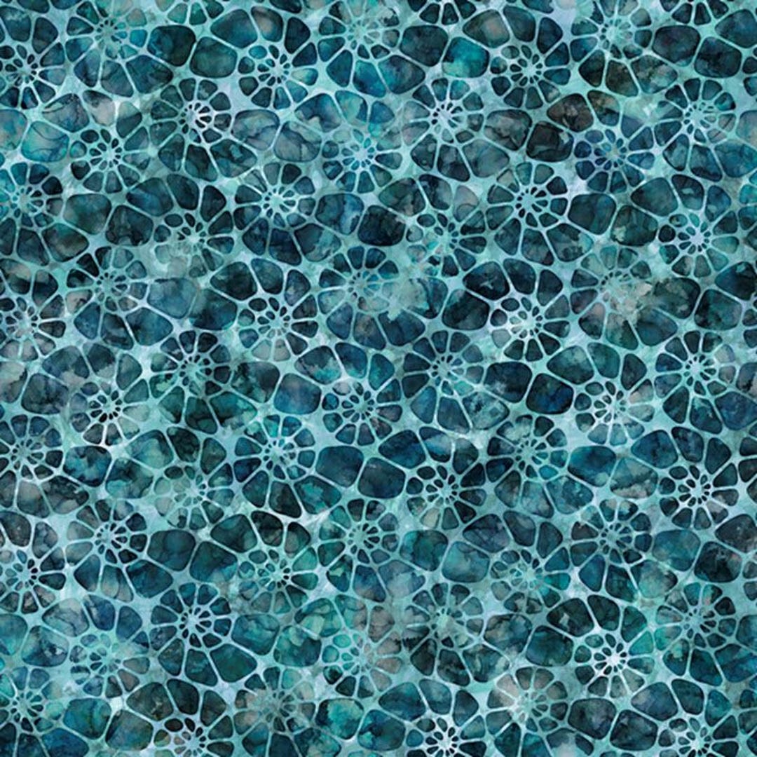 AQUATICA - Nautilus in Teal - Blue Green Aqua Beach Shells Fossils ...