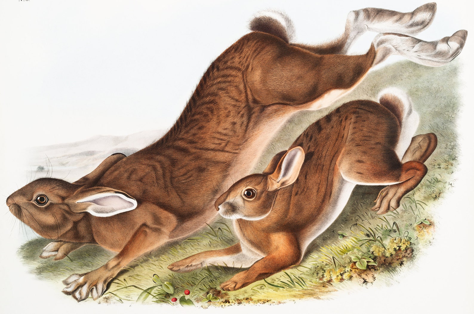 Fabric Panel Block, Irish Hares Painting Fabric Bloc, 100% Cotton ...