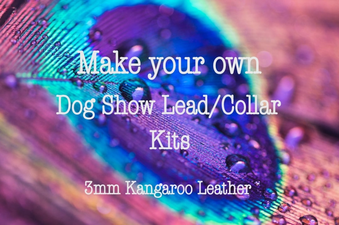 DIY Kangaroo Leather Lace Kit, Roo Leather, Dog Show Lead/collar Kit - Etsy