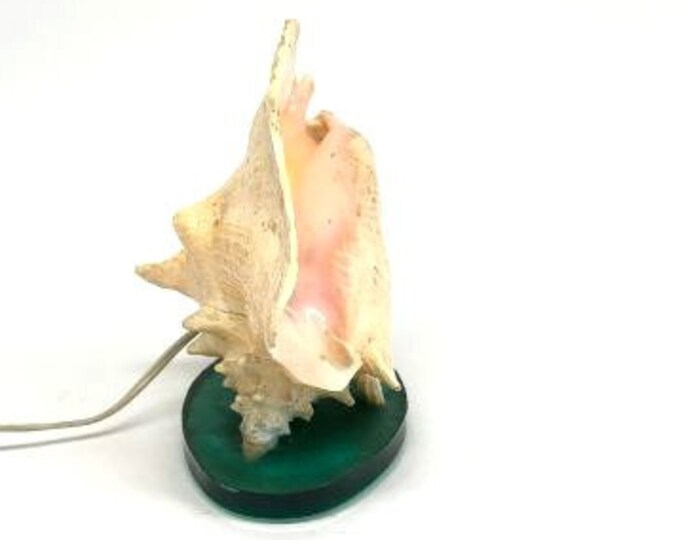 Vintage Conch Shell Lamp, Vintage Seashell Light, Beach House Decor ...