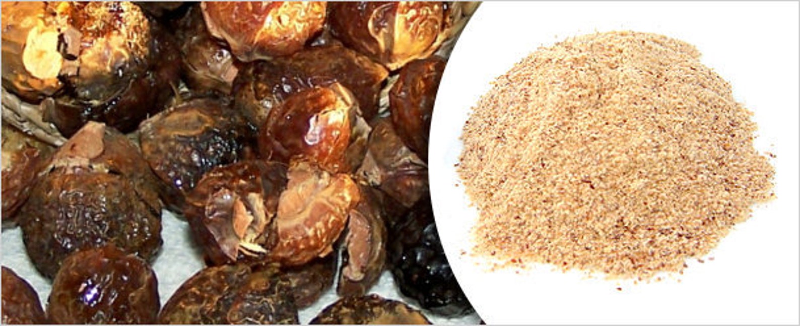 Pure Retha Powder 100 Grams - Etsy