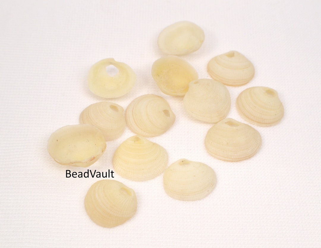 Clam Shell Beads, Natural Sea Shell Beads, 10 Light Beige Shells, Boho ...