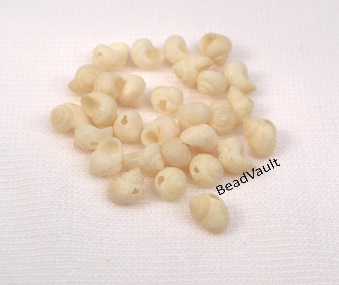White Beach Shells, Little Sea Shell Beads, 20 Natural Ocean Beach ...