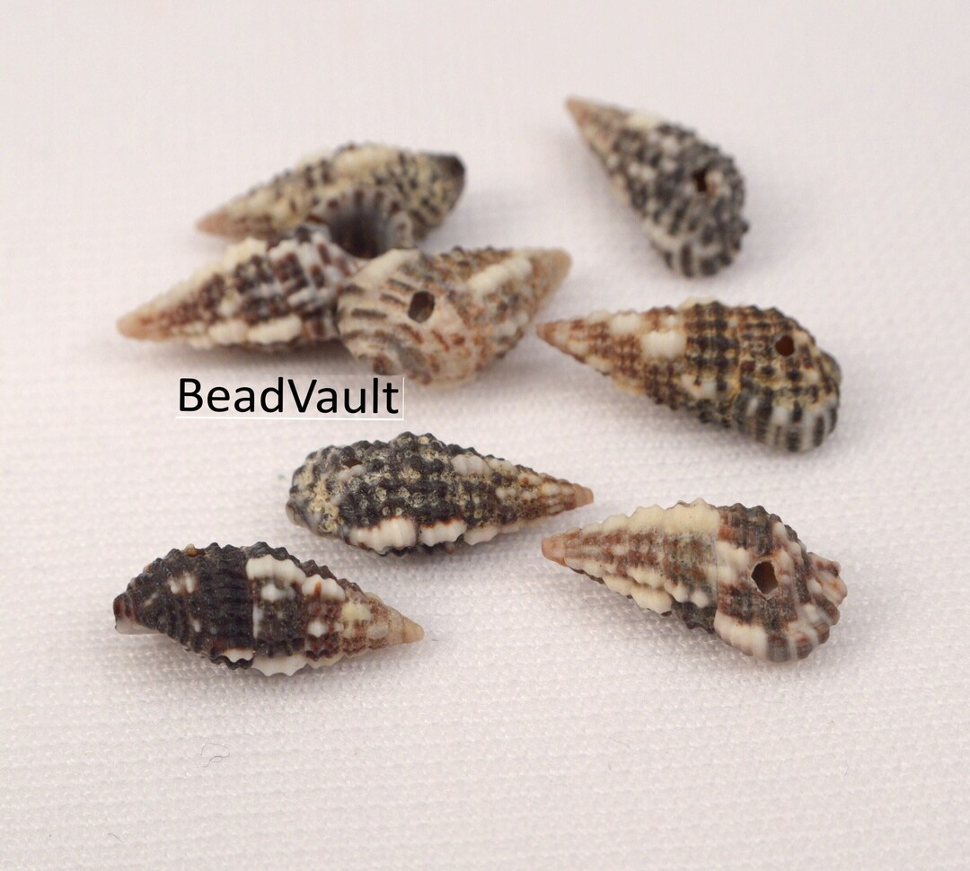 Black White Beach Shell Beads, Bumpy Sea Shell Beads, Natural Shells ...