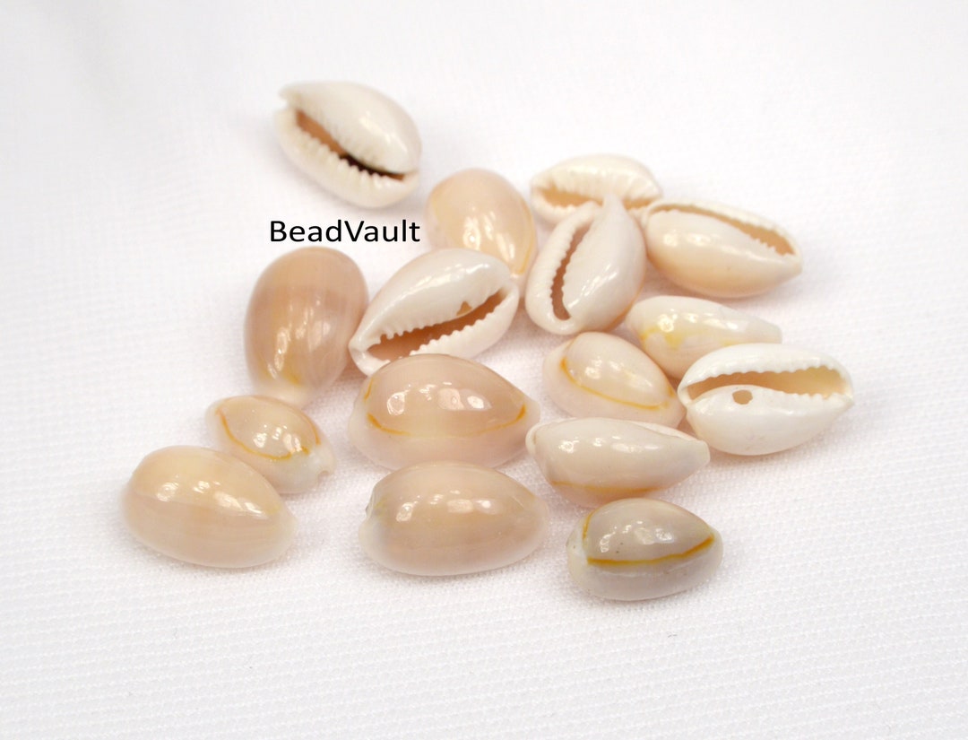 Ocean Cowrie Shell Beads, Beach Shell Beads, Jewelry Making Bead ...