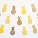 Pineapple Party Banner - Customizable Colors - Etsy