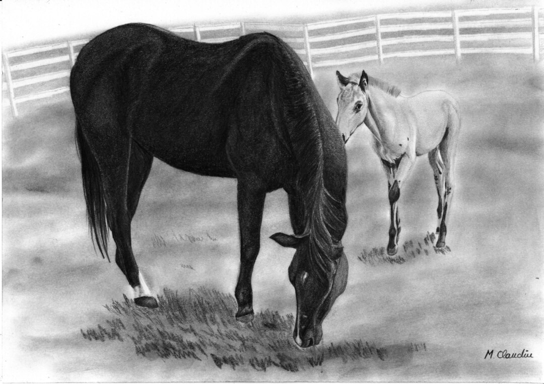A4 Pencil Drawing From Your Photo - Etsy