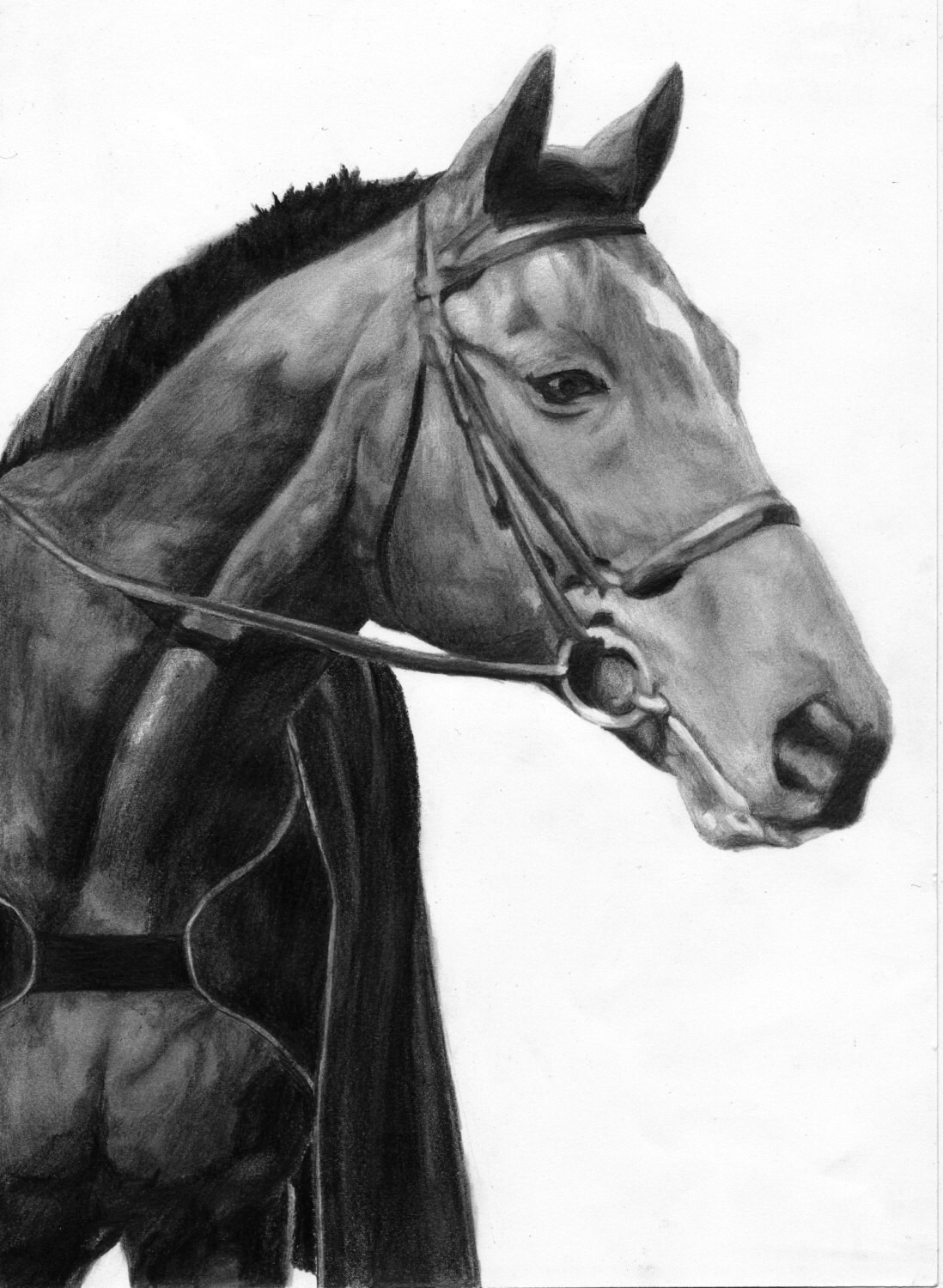 A4 Pencil Drawing From Your Photo - Etsy