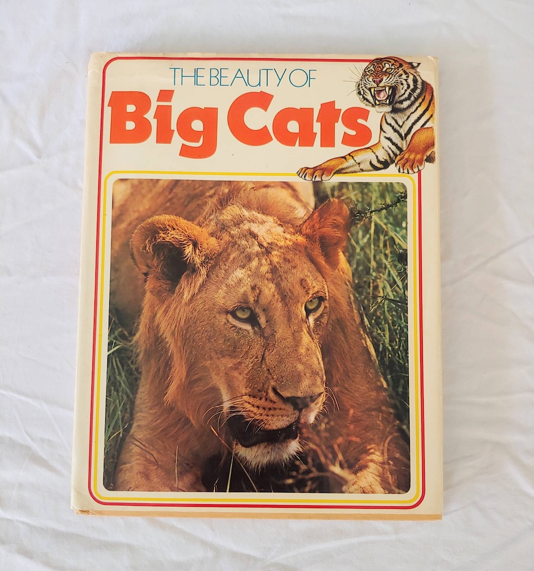 The Beauty of Big Cats Book by Howard Loxton Vintage Nonfiction - Etsy