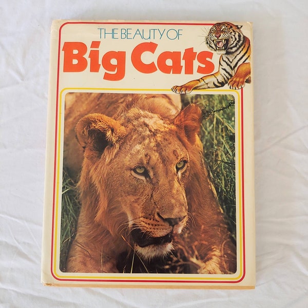 Big Cat - Etsy
