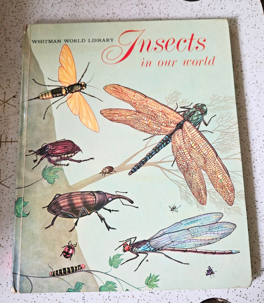 Vintage Insects Book for Children Whitman 1960's - Etsy