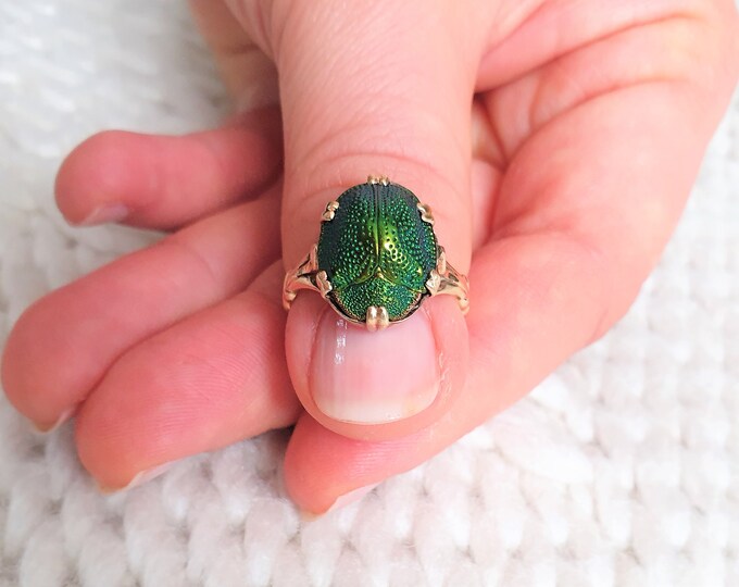 Rare Victorian 9ct Gold Real Scarab Beetle Ring US Size 7 1/4. Antique ...