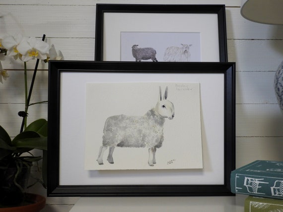 Sheep Breed: Border Leicester Original Watercolor Illustration | Etsy