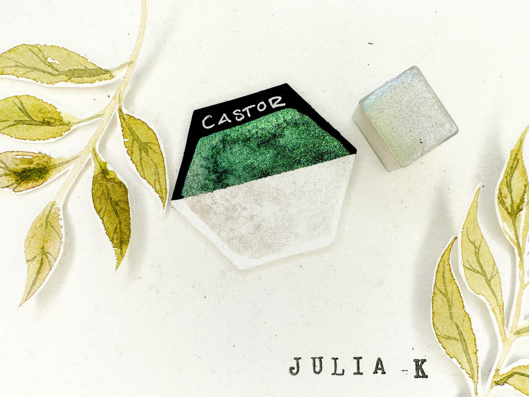 Castor- Handmade Watercolor Paint - Etsy
