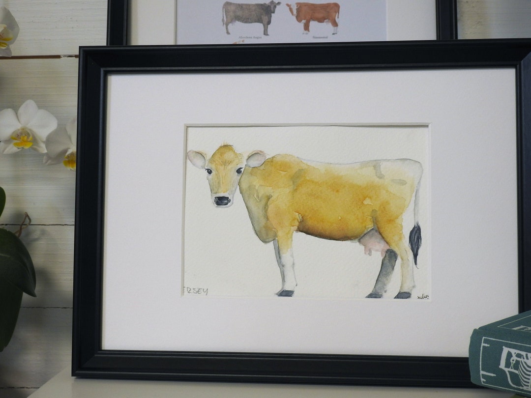 Cow Breed: Jersey Cattle Original Watercolor Illustration Julia Källén ...