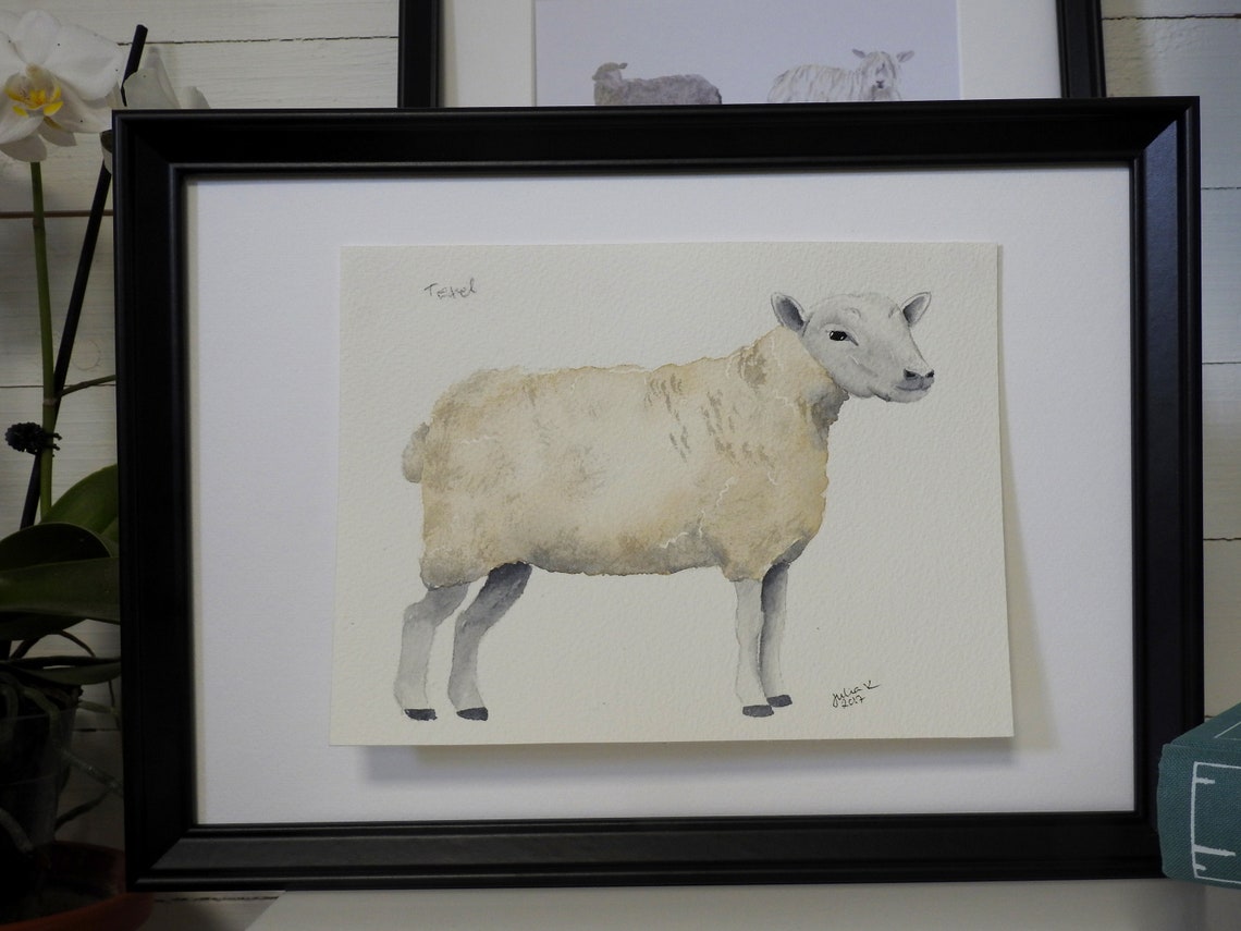 Sheep Breed: Texel Original Watercolor Illustration Julia - Etsy
