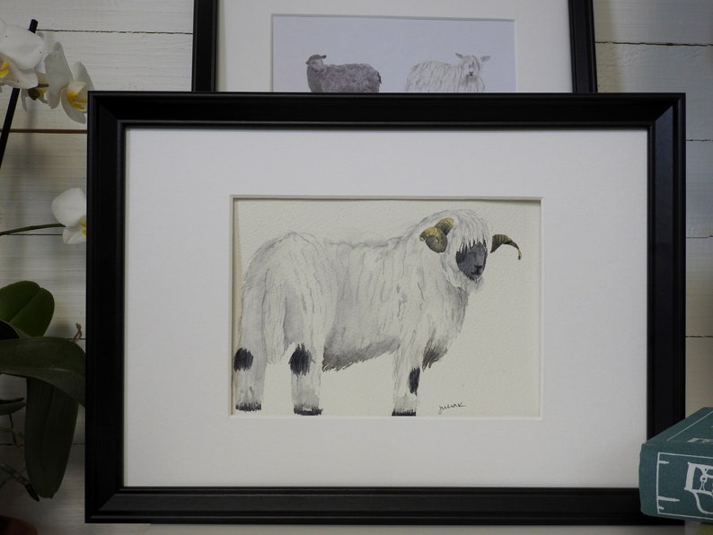 Sheep Breed: Valais Blacknose Original Watercolor Illustration - Etsy