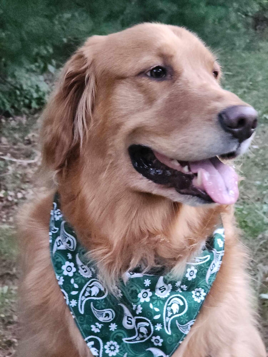 Michigan State Over the Collar Dog Bandana - Etsy