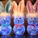 Easter Bunnies, Light up Easter Bunnies, Personalized Easter Bunnies ...