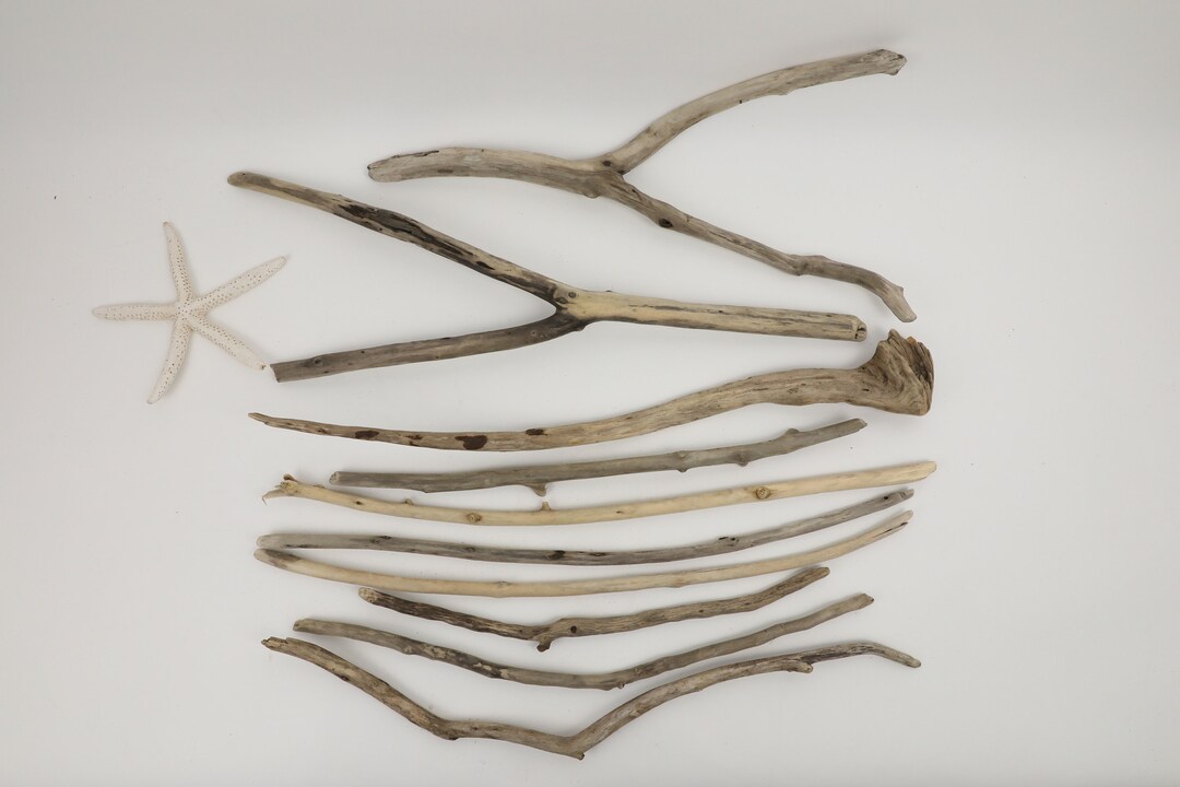 Driftwood, 10 Twigs, 14" to 20" Length, Beach Wood, Curvy, Angled ...