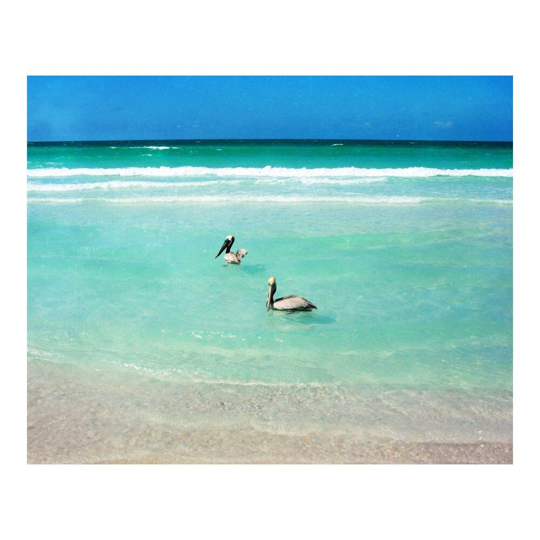 Pelican Photography, Florida Bird Art, Siesta Key Beach Art, Gulf of ...