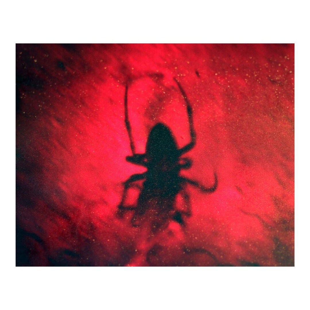 Spider Art, Gothic Art Print, Red Wall Art, Surreal Photography - Etsy