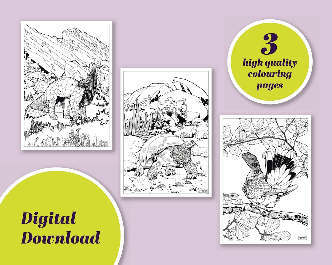 Fantasy Animals Coloring Pages - Etsy