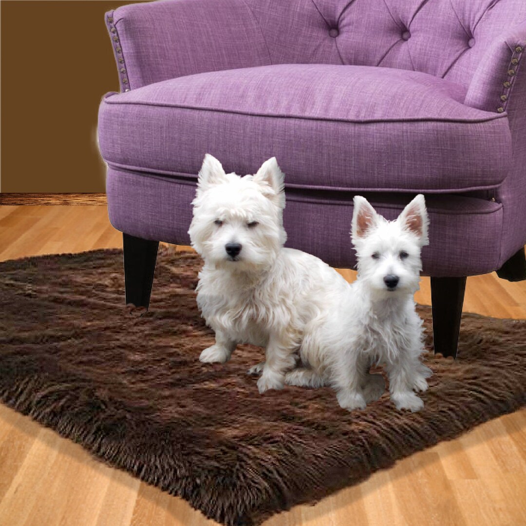 Larger Shag Area Rug - Plush Shaggy Sheepskin Carpet - Premium Faux Fur ...