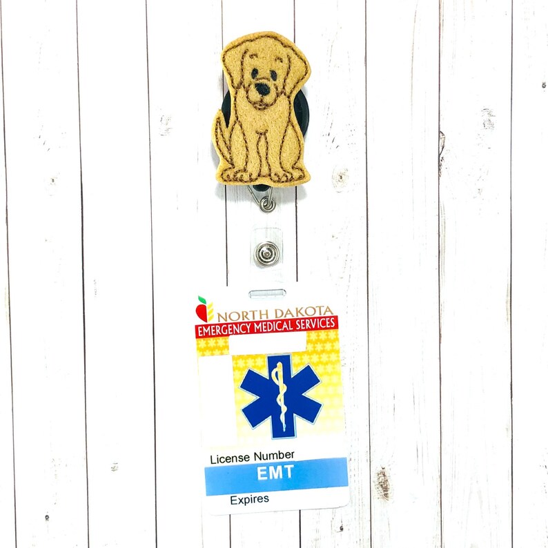 Lab Badge Reel Lab Badge Holder Lab Badge Lab Gift | Etsy