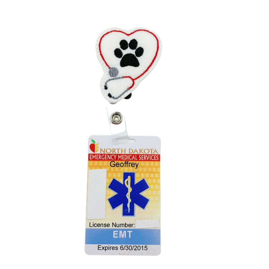 Vet Badge Holder, Vet Badge Reel, Vet Tech Badge Reel, Vet Assistant ...