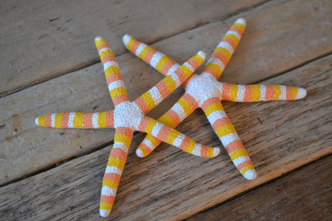 Painted Starfish, "candy Corn" (3-4") | 2 Pieces - Etsy
