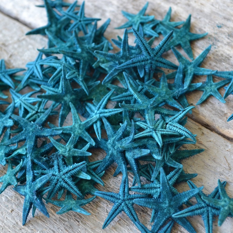 Dark Blue Starfish Decor - Etsy