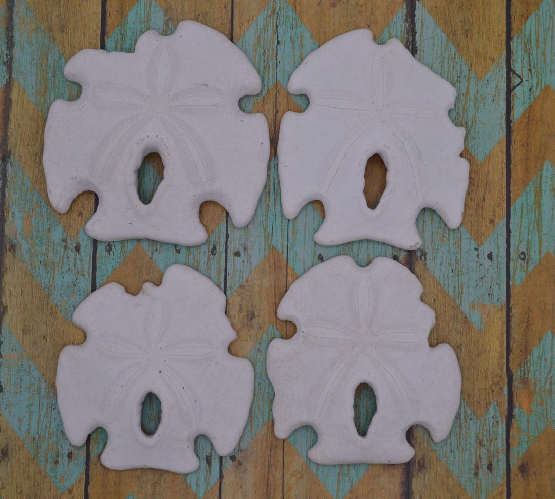Keyhole Sand Dollars #2's Lot (SHL315) | 4 Pieces - Etsy
