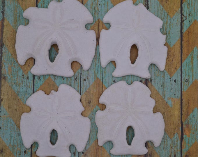 Keyhole Sand Dollars, Mexican Arrowhead Sand Dollar, Encope Grandis ...