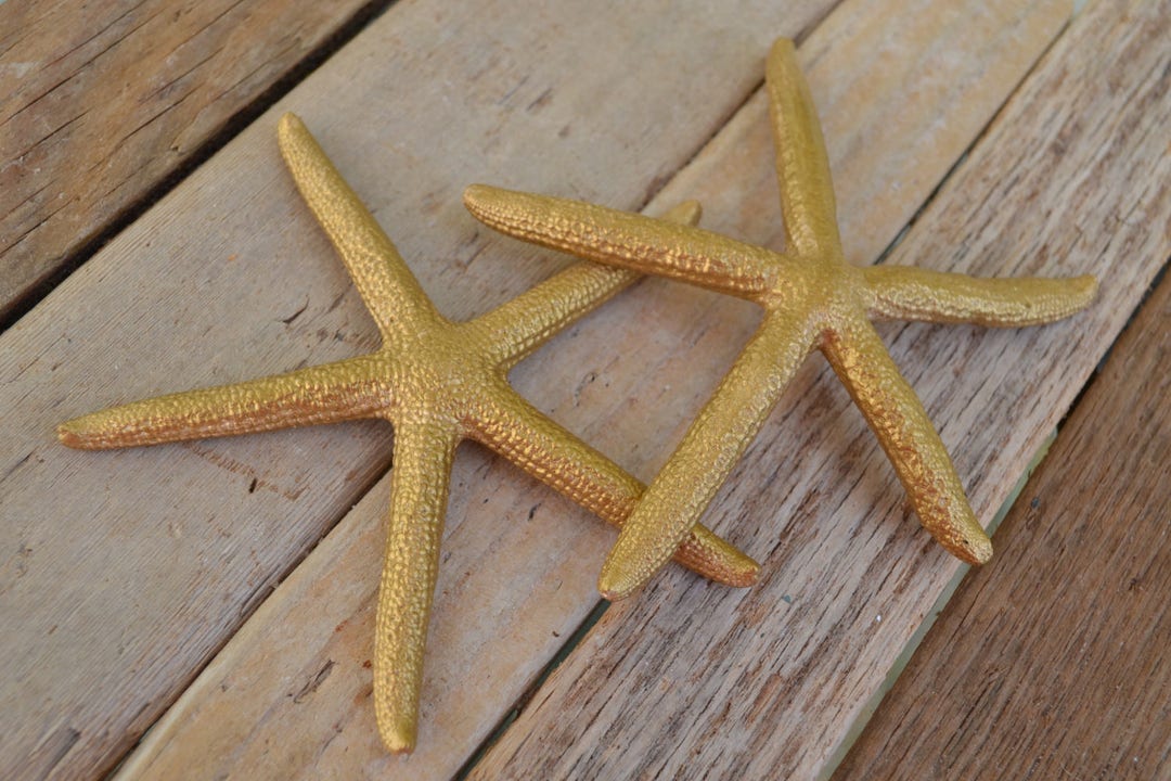 Gold Painted Sea Starfish, "goldie Lox" (3-4")| 2 Pieces - Etsy