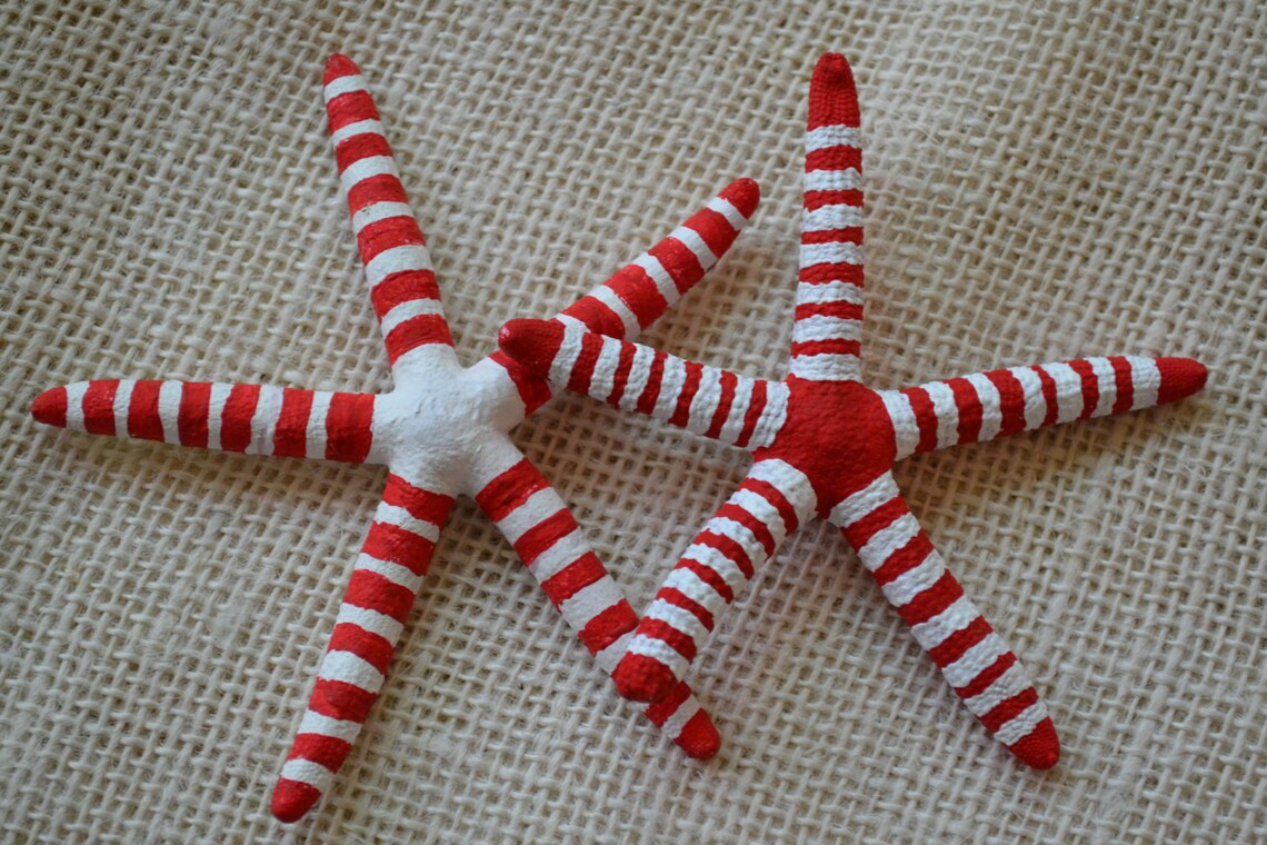 Painted Starfish candy Cane 2 Piece | Etsy