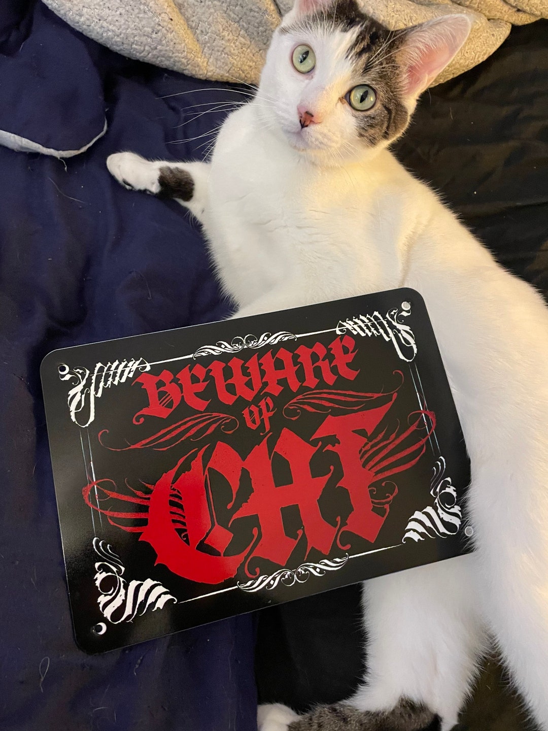 Yee Olde beware of CAT Plastic Sign - Etsy