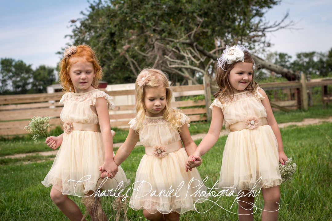 Flower Girl Dress Ivory Beige Flower Girl Dress Girls Lace Dress Lace ...
