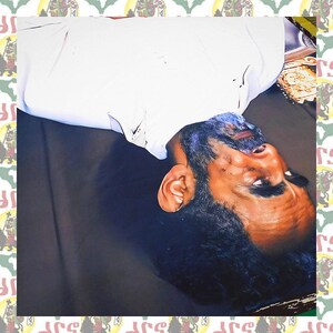 Rastafarian Majesty: Haile Selassie I Tapestry Extra-large Flag (lion ...