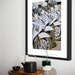 Phoenix, Arizona Police Department Motorcycles Lined up in a Row. - Etsy