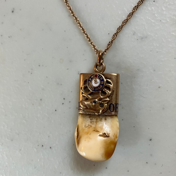 Elk Teeth - Etsy