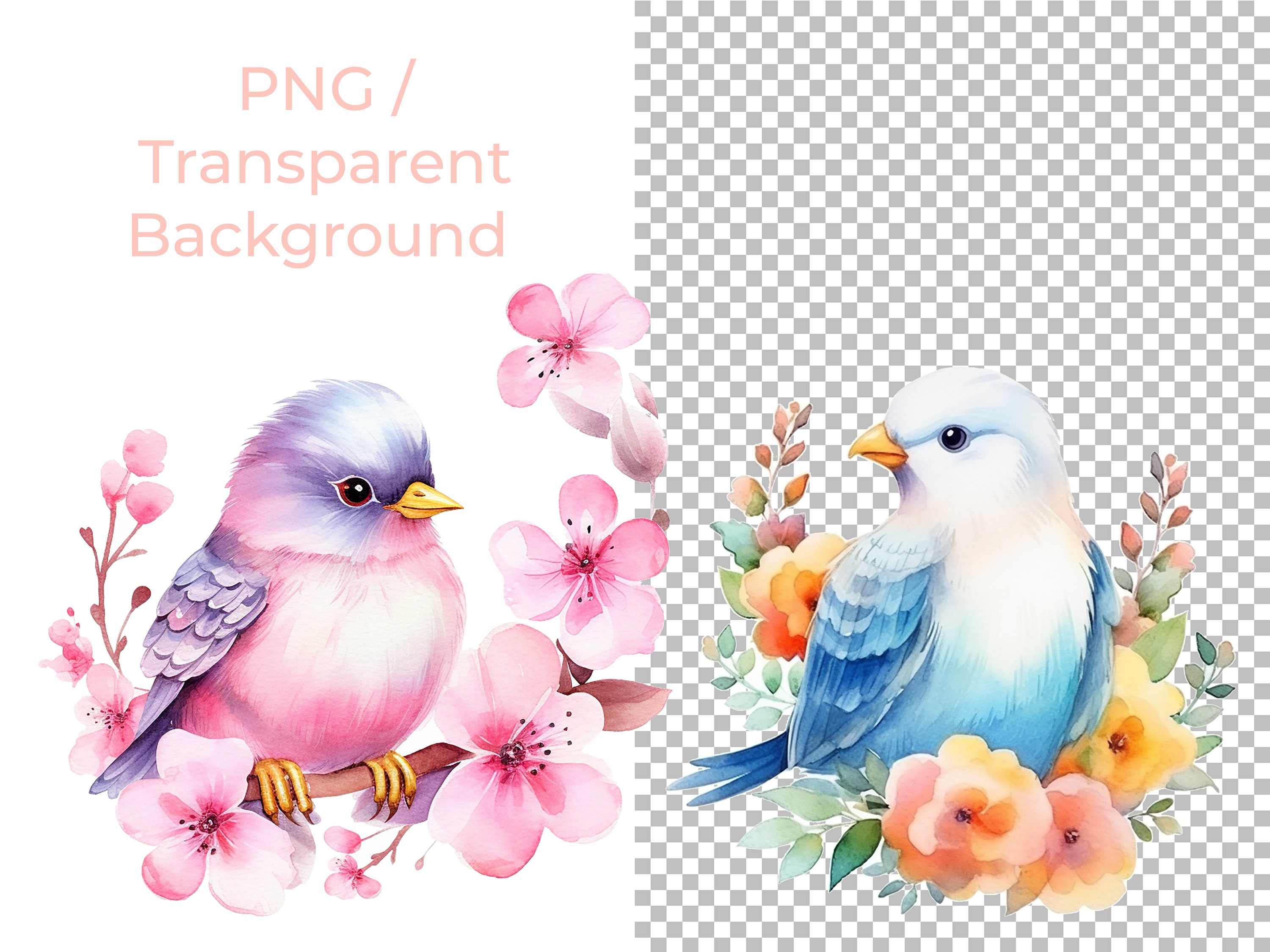 Watercolor Spring Bird Clipart Bundle Watercolor Card Making DIY ...