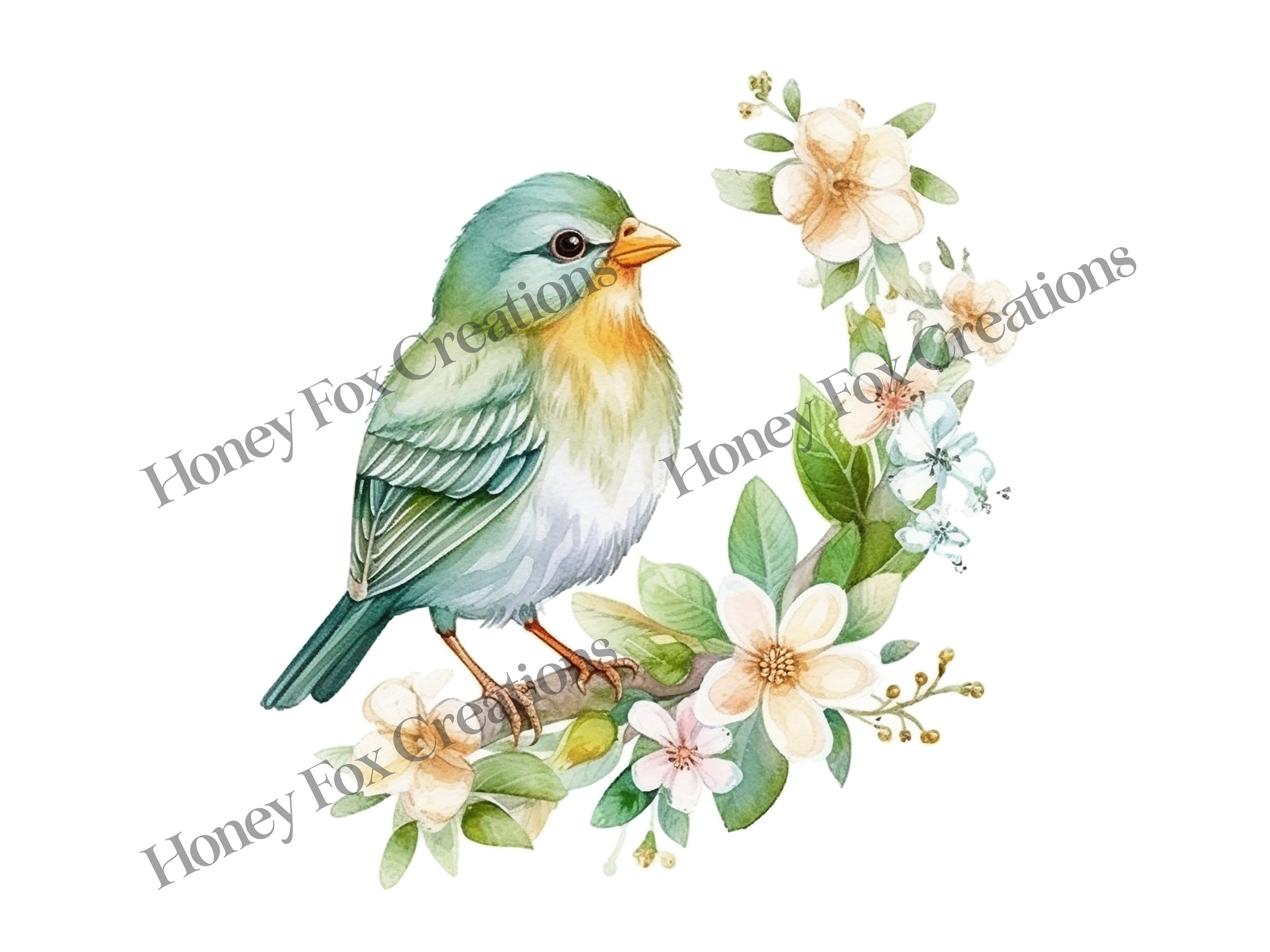 Watercolor Spring Bird Clipart Bundle Watercolor Card Making DIY ...
