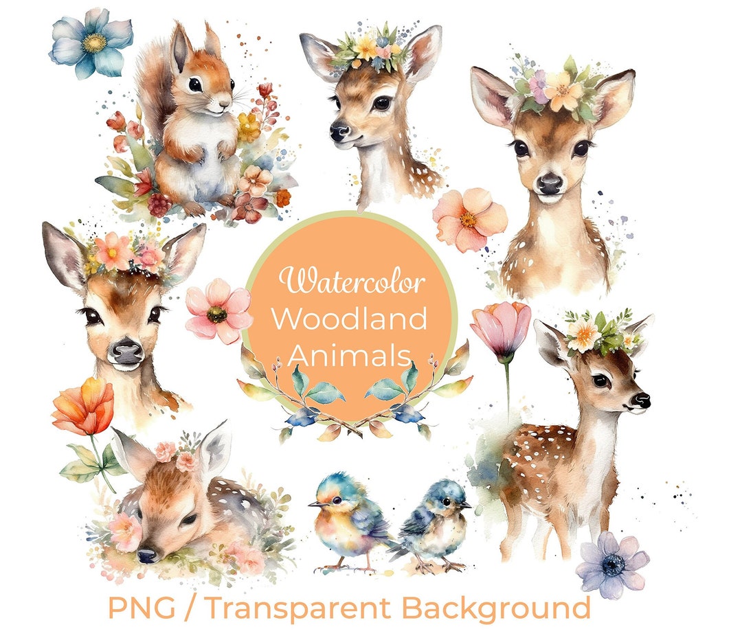 Forest Animals Clipart Bundle Watercolor Woodland Bundle Sublimation ...