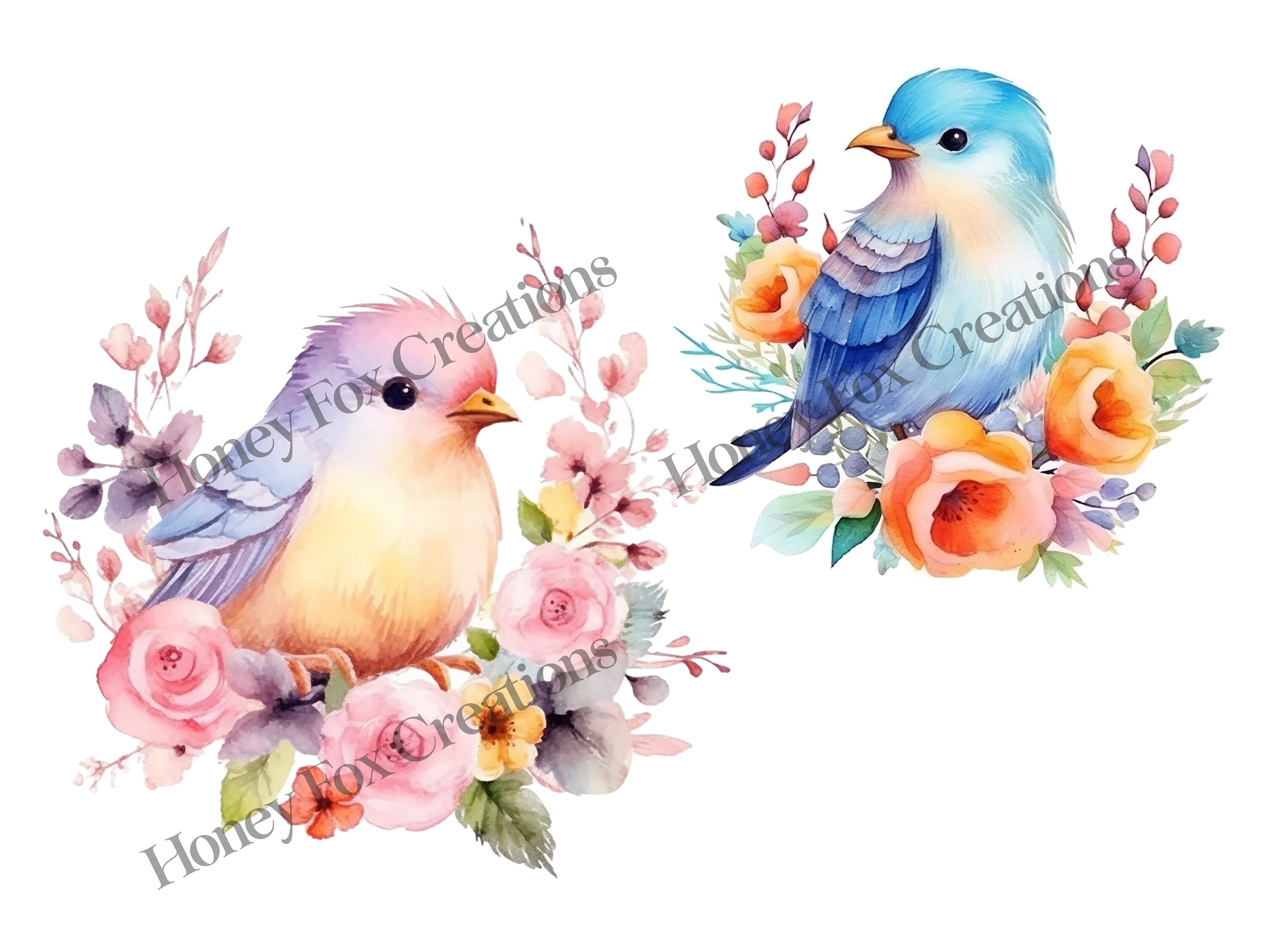 Watercolor Spring Bird Clipart Bundle Watercolor Card Making - Etsy