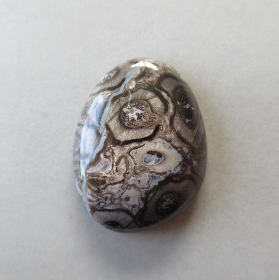 Fossil Palm Root Cabochon Southern California Freeform Pendant Bracelet ...