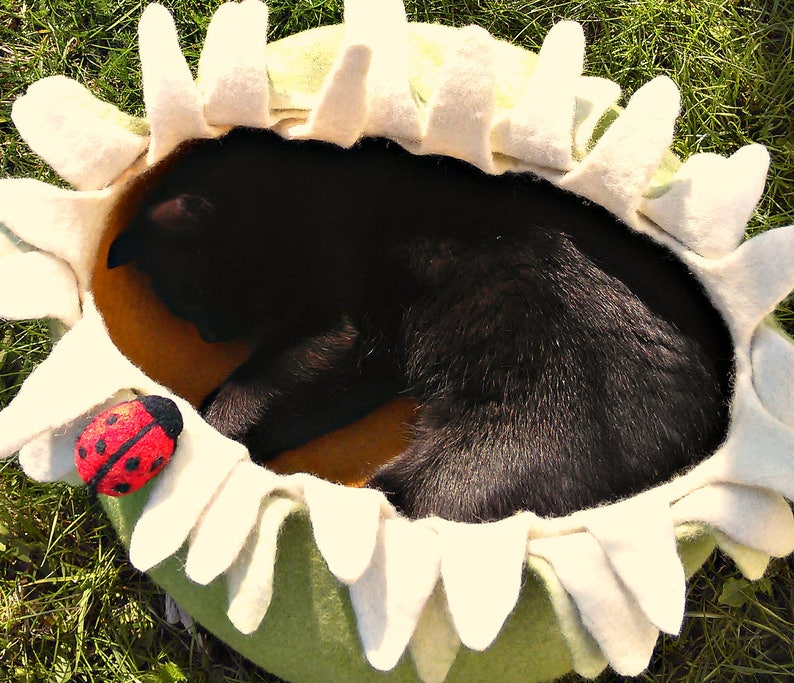 Cat bed/Сamomile flower felted cat bed/cat house/ stylish | Etsy