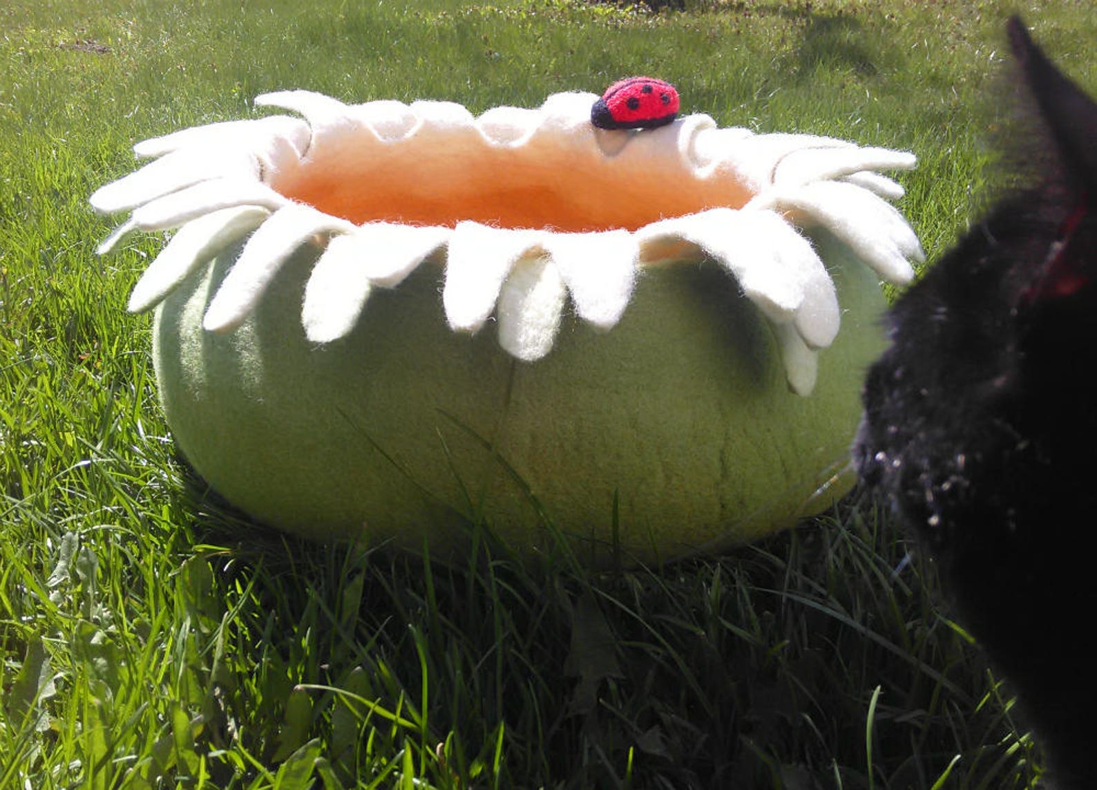 Cat bed/Сamomile flower felted cat bed/cat house/ stylish | Etsy