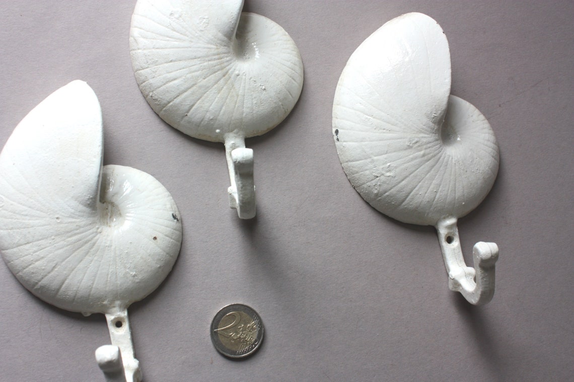 1 Rustic Shell Wall Hook Cream, Snail Towel Hook Coastal Chic ...
